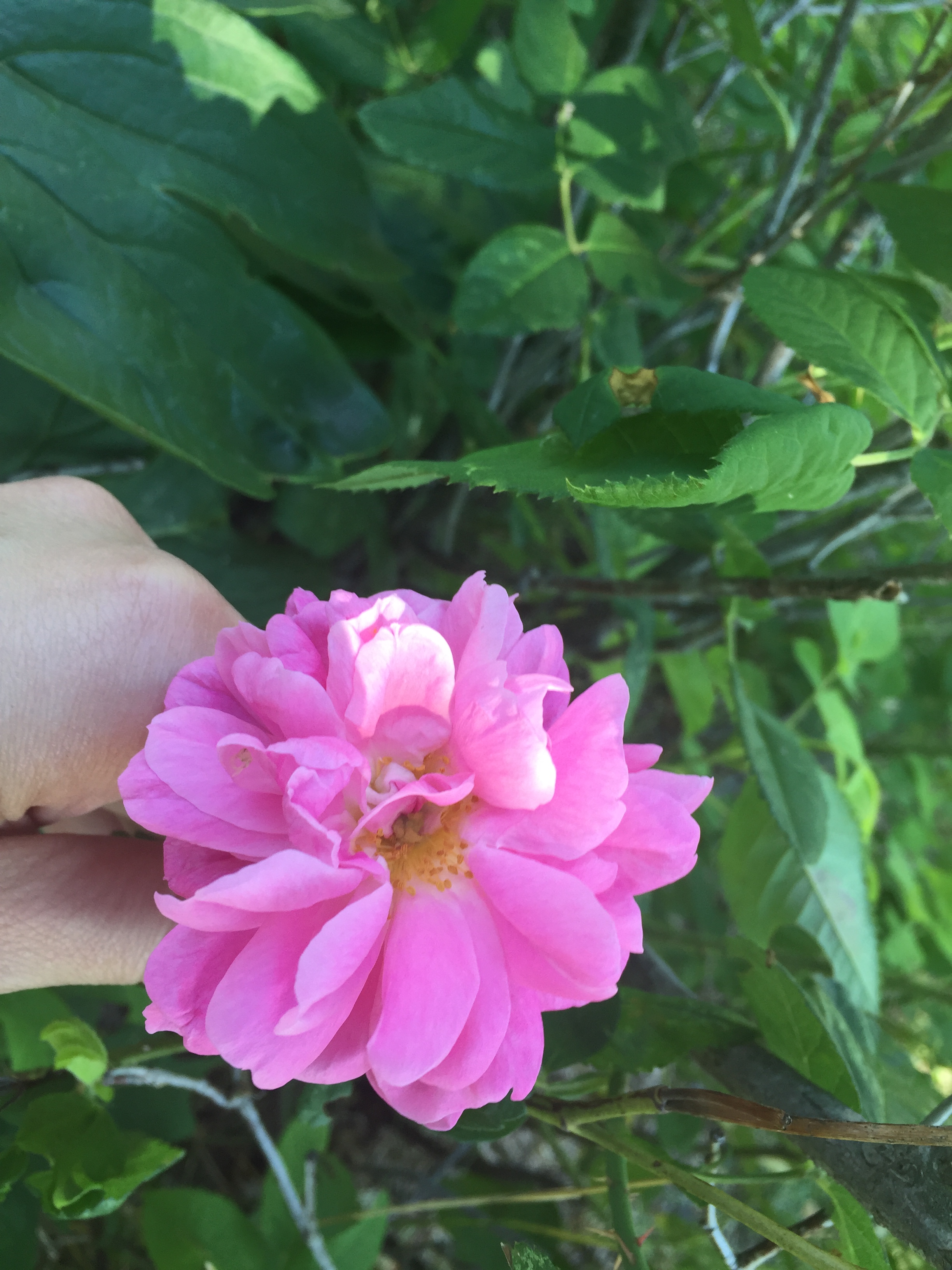 In Your Corner: Growing Your Market by Seizing on “Gift Opportunities ...